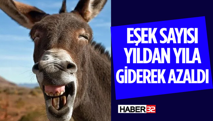 Türkiye'de Eşek Nüfusunda Dramatik Düşüş